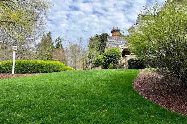 Atlanta Landscape & Backyard Design | Milton Outdoor Makeover