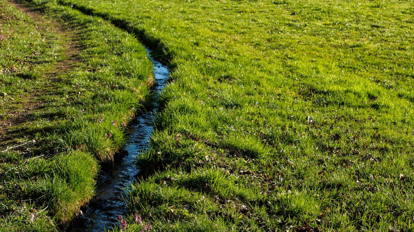 Top Hardscaping Advantages: Transform Your Outdoor Space