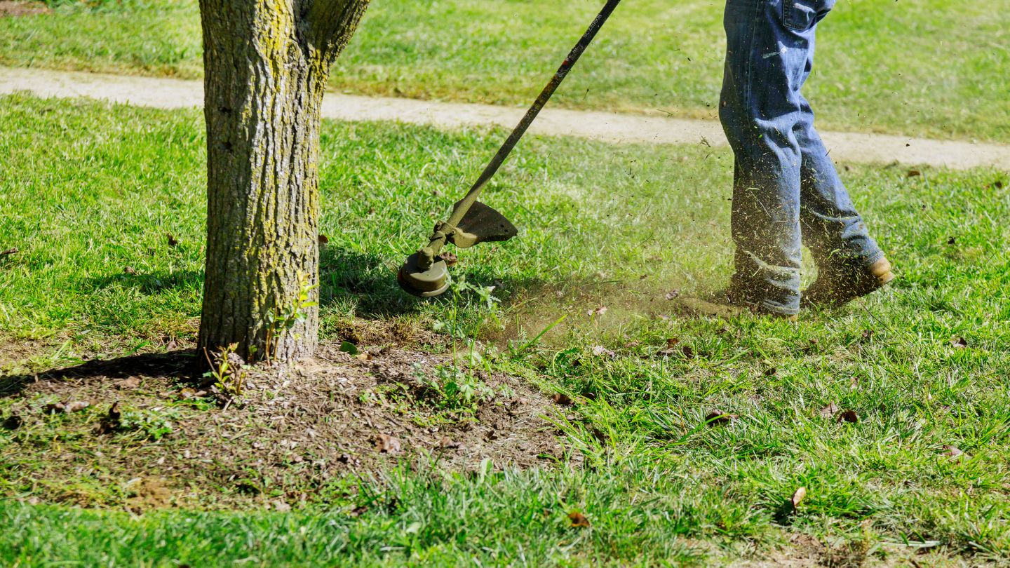 How to Maintain Your Landscape: Essential Tips for Year-Round Care